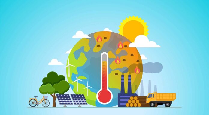 Qué actividades humanas generan los gases de efecto invernadero ... Qué actividades humanas generan los gases de efecto invernadero ...