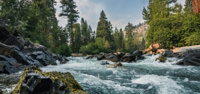 10 Reservas de la biosfera en el mundo | Naturaleza indómita