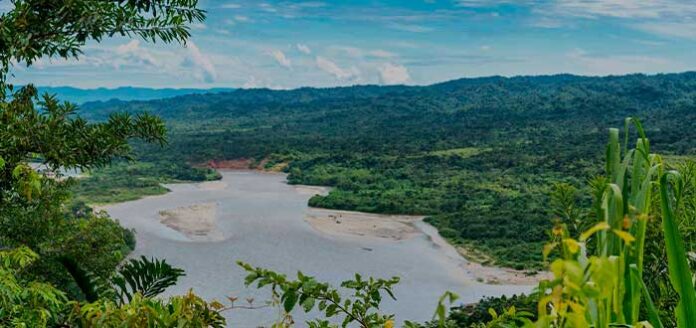 5 reservas naturales en Perú | Sorpréndete con la biodiversidad