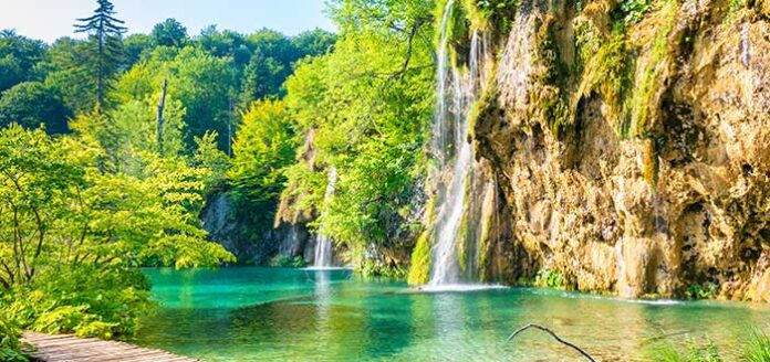 ¿Qué son las reservas naturales? | Importancia y tipos - Ecologia Util