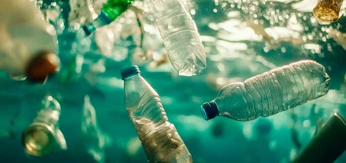 ¿Qué es ecocidio? | Descúbrelo todo sobre esta teoría - Ecologia Util